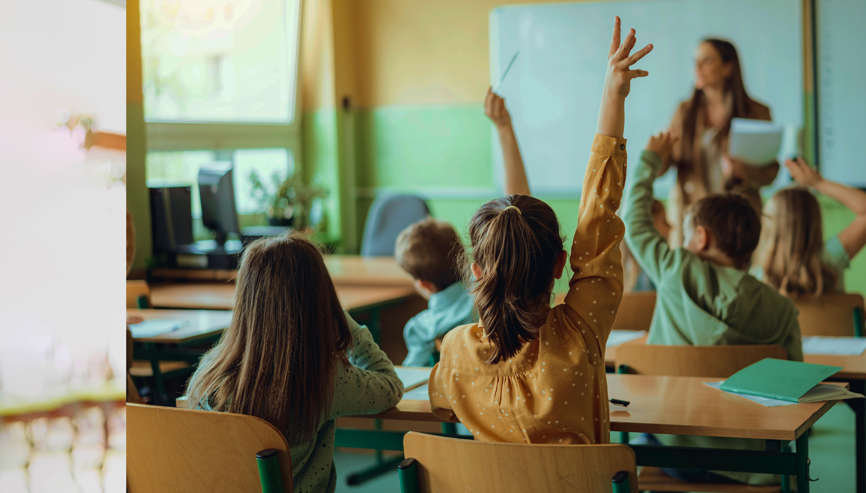 Education, Science and Research | Firuza Foundation